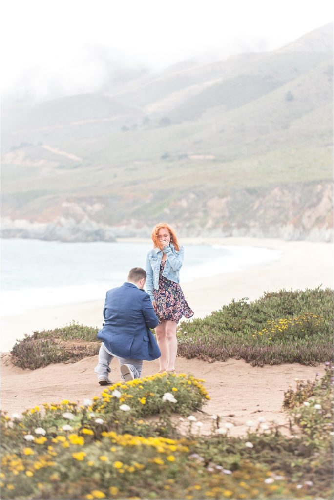 Big Sur Proposal Photographer | South Carolina Wedding Photographer ...