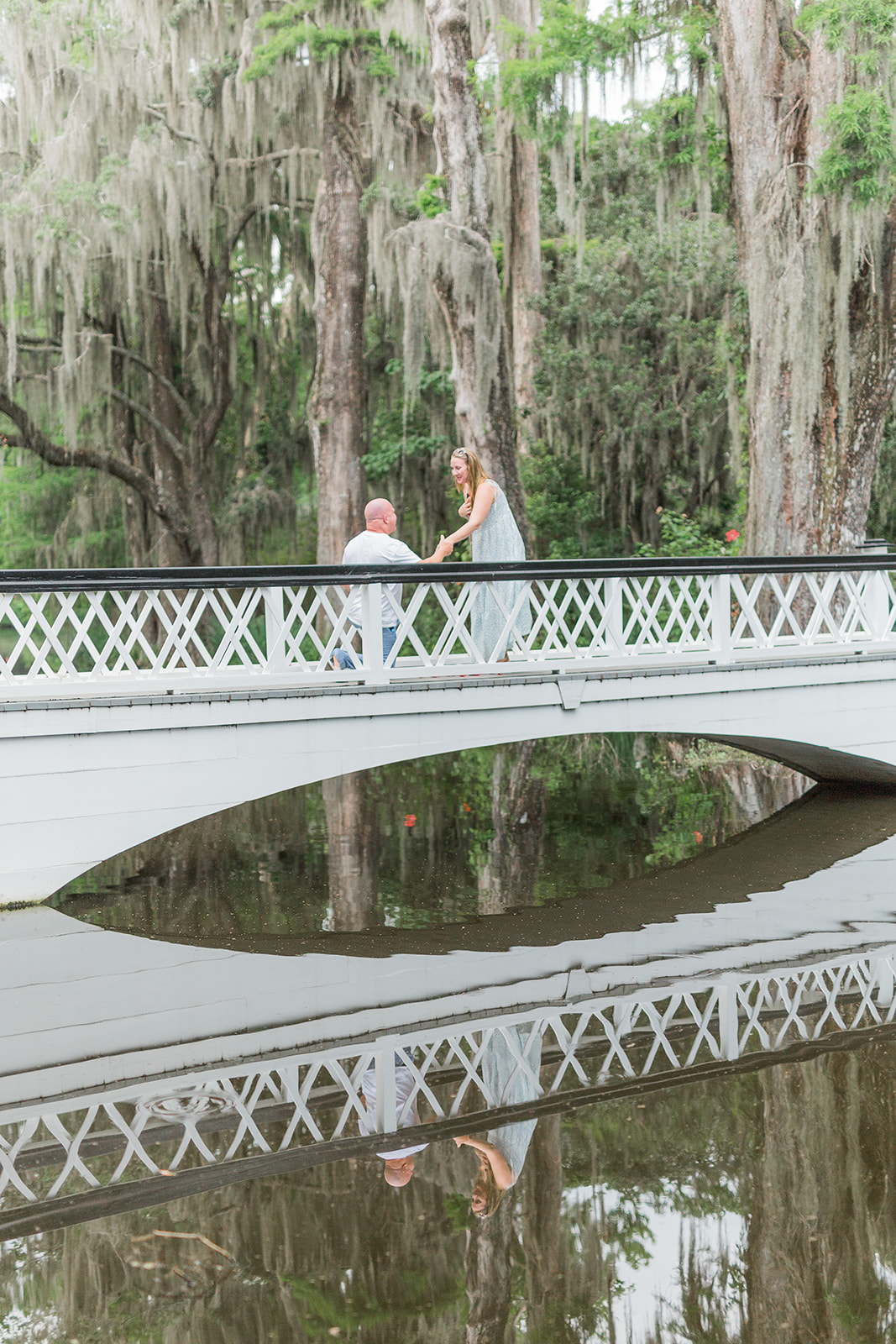 Charleston Premier Luxury Proposal Location | Magnolia Plantation ...